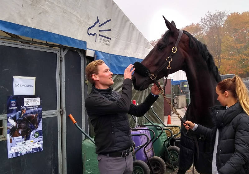 Video: Henri Ruoste kertoo, miten Helsinki Horse Show 2018 sujui ...